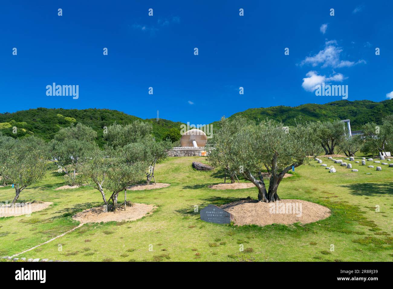Shodoshima Island Olive Park Stock Photo - Alamy