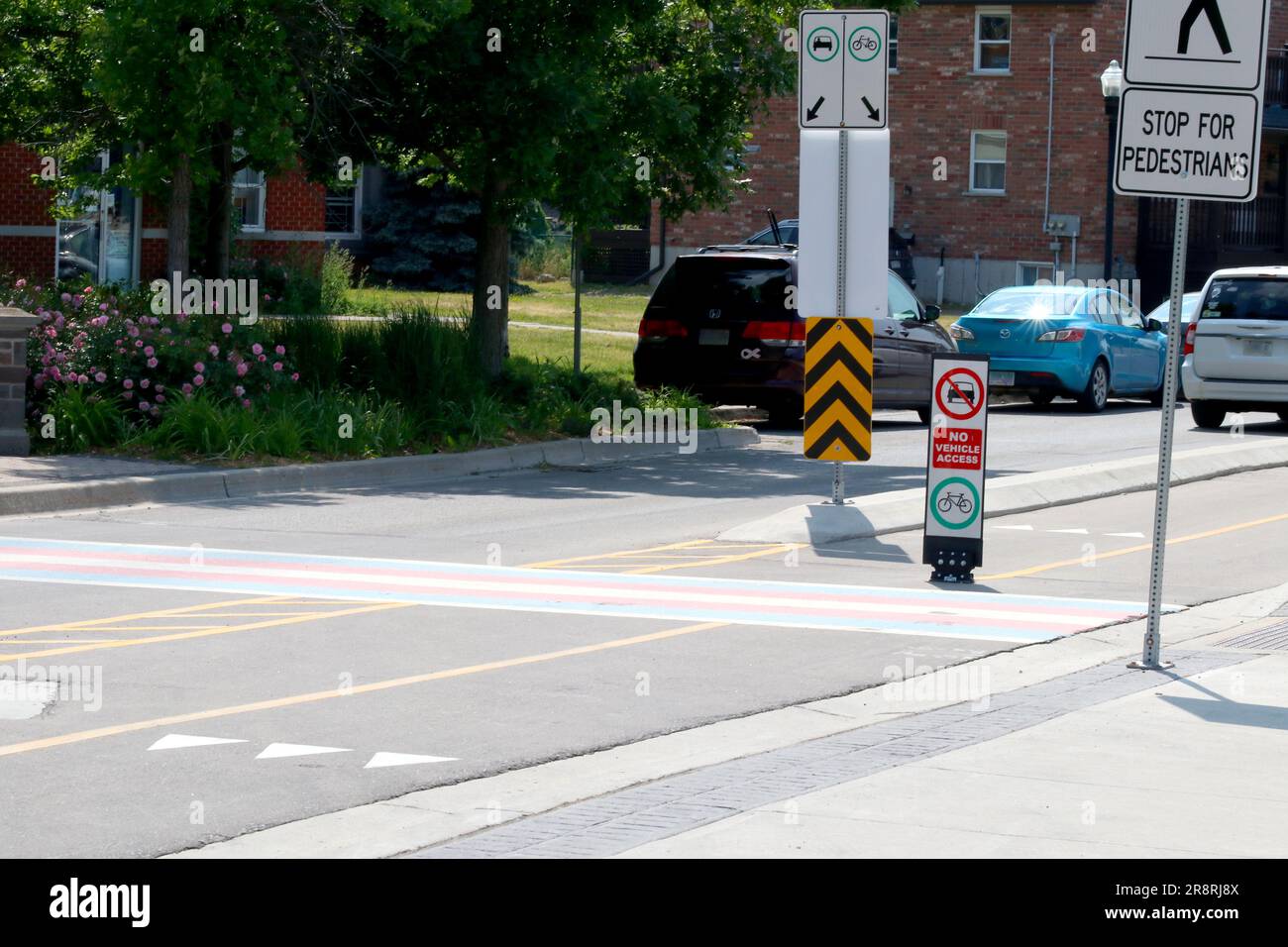 City residential road with Trans Pride Flag crosswalk Stock Photo - Alamy