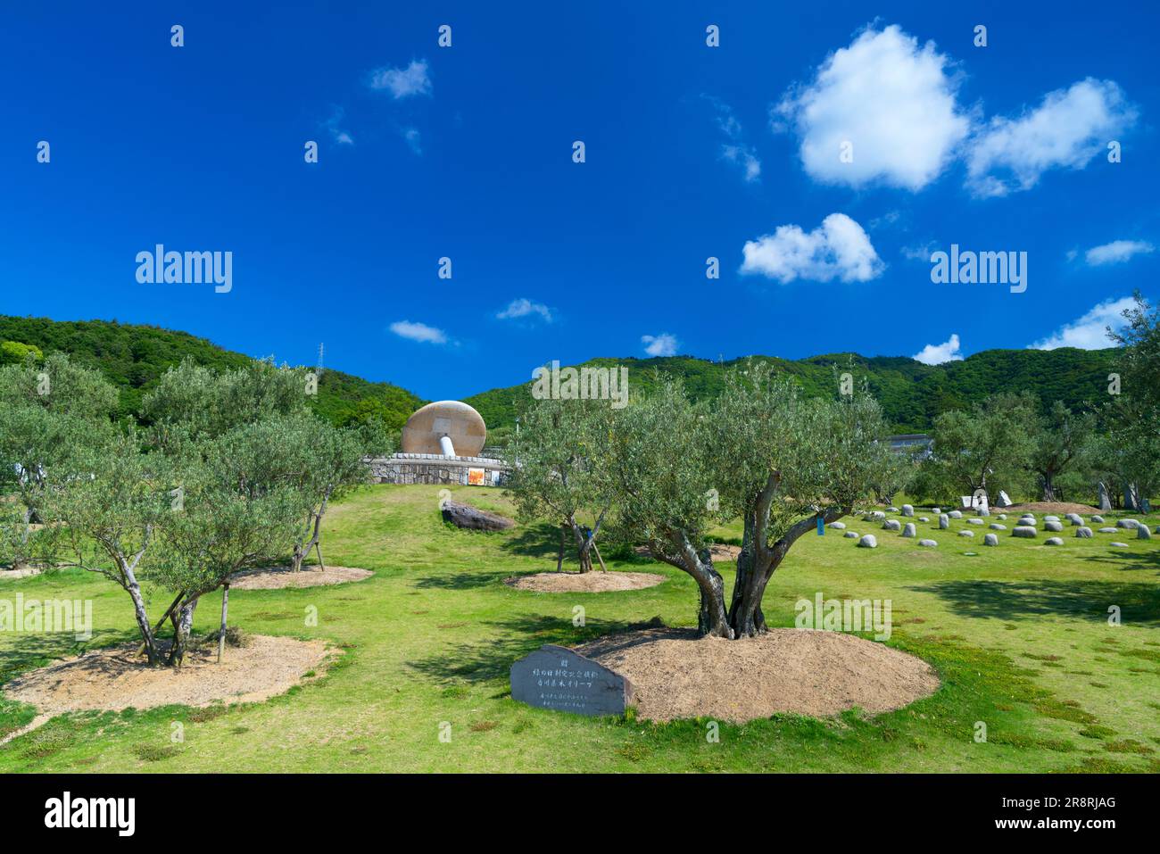 Shodoshima Island Olive Park Stock Photo - Alamy