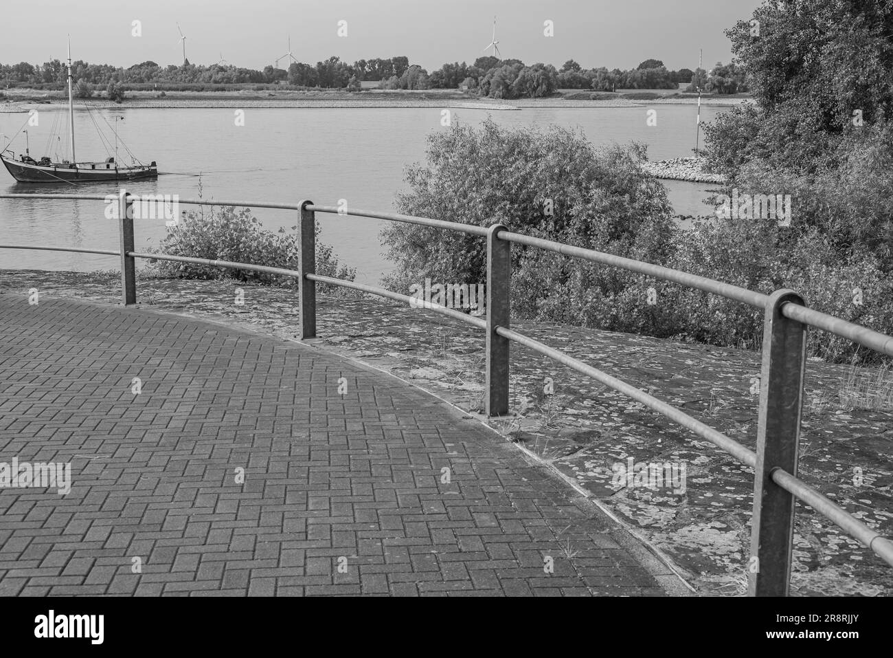 River rees Black and White Stock Photos & Images - Alamy