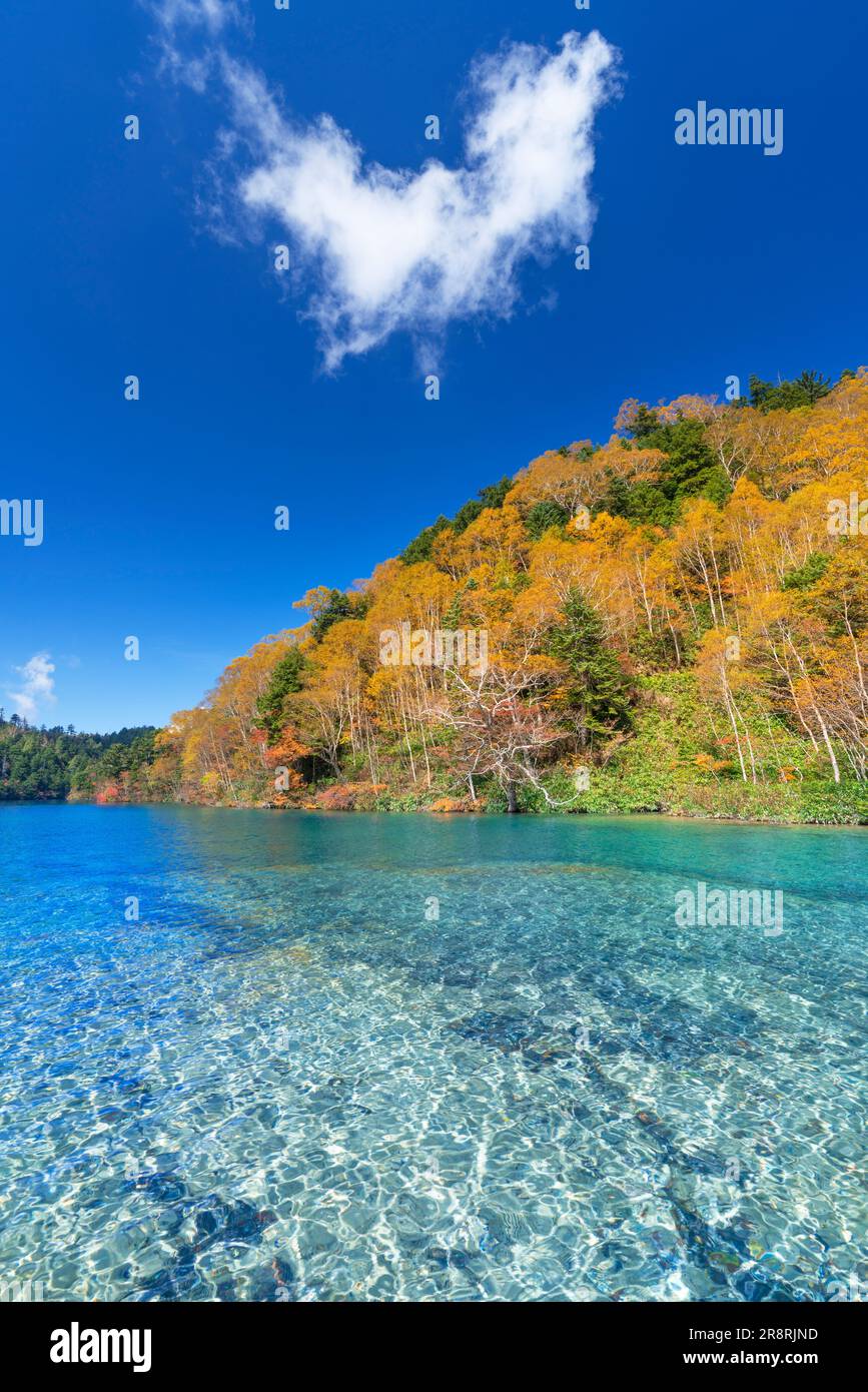 Onuma gun hi-res stock photography and images - Alamy