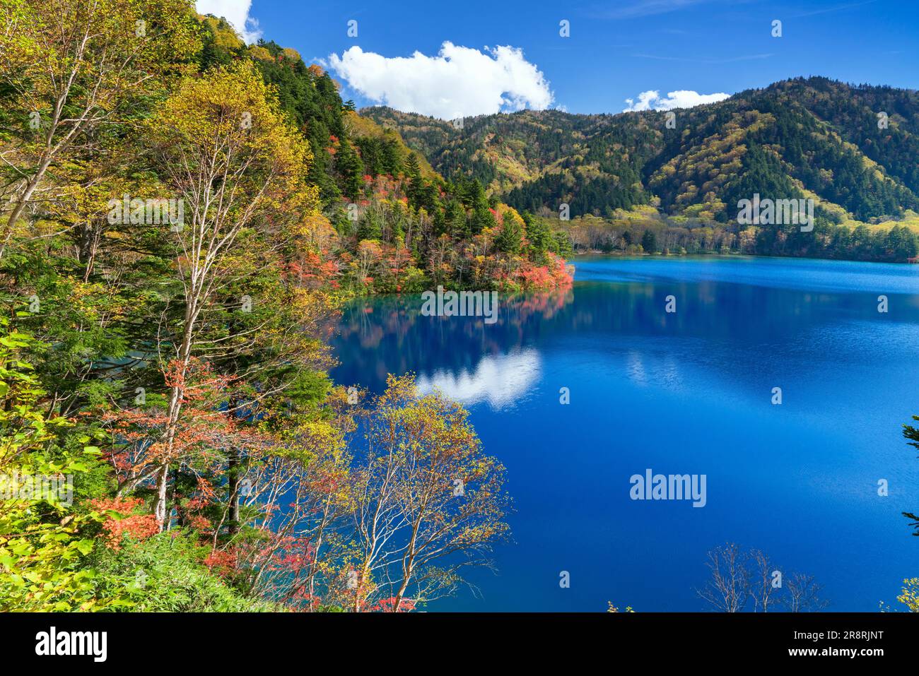 Onuma gun hi-res stock photography and images - Alamy
