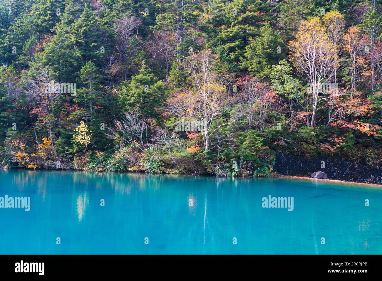 Onuma gun hi-res stock photography and images - Alamy