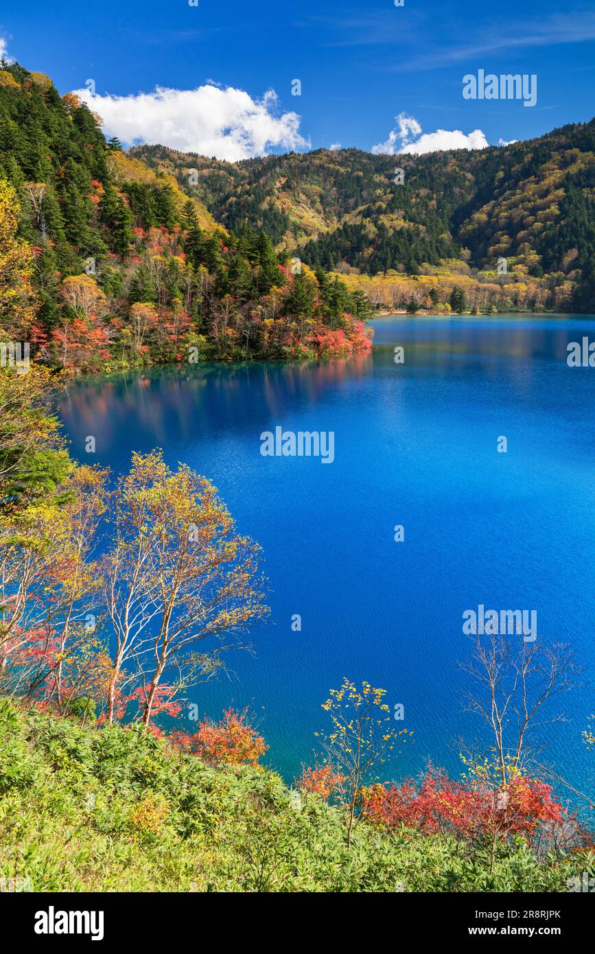 Onuma gun hi-res stock photography and images - Alamy