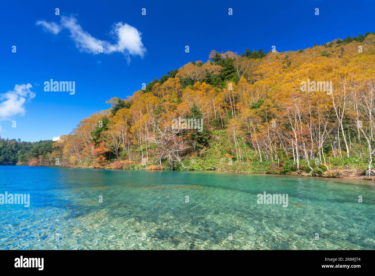 Onuma pond hi-res stock photography and images - Alamy