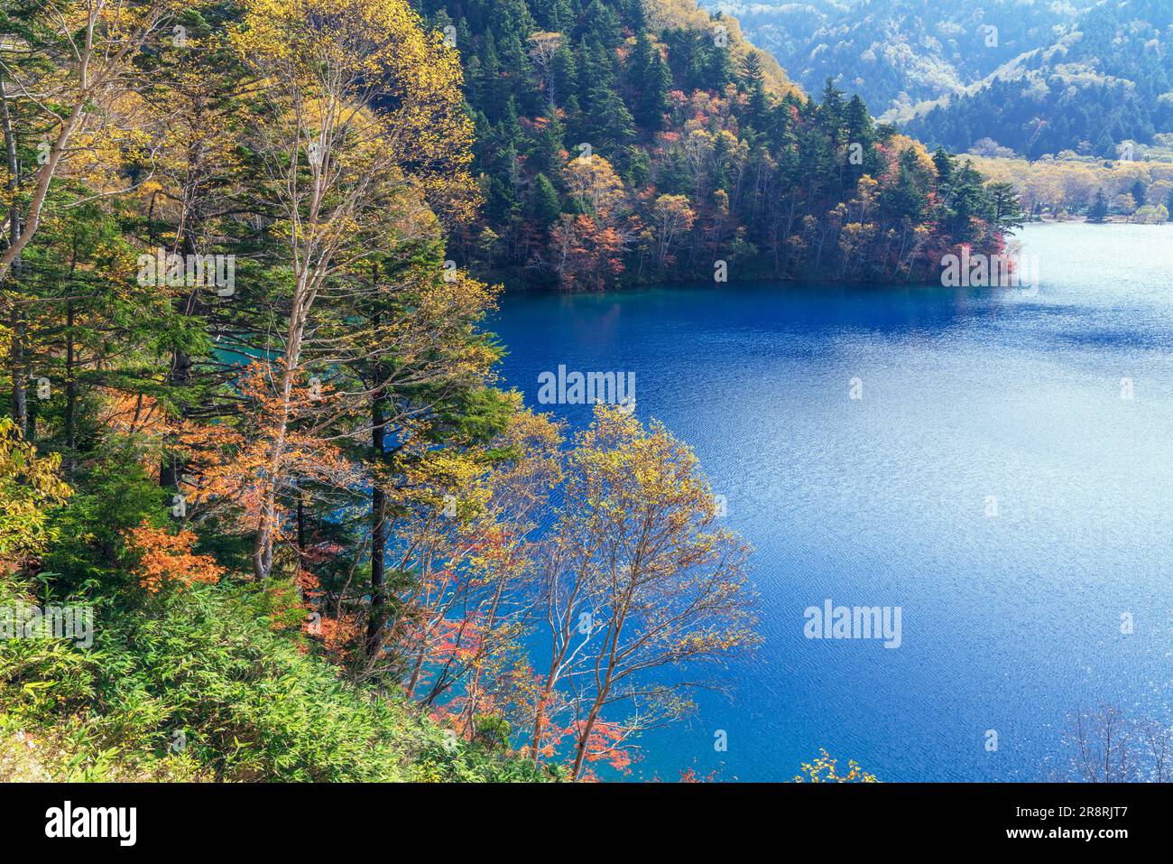 Onuma gun hi-res stock photography and images - Alamy