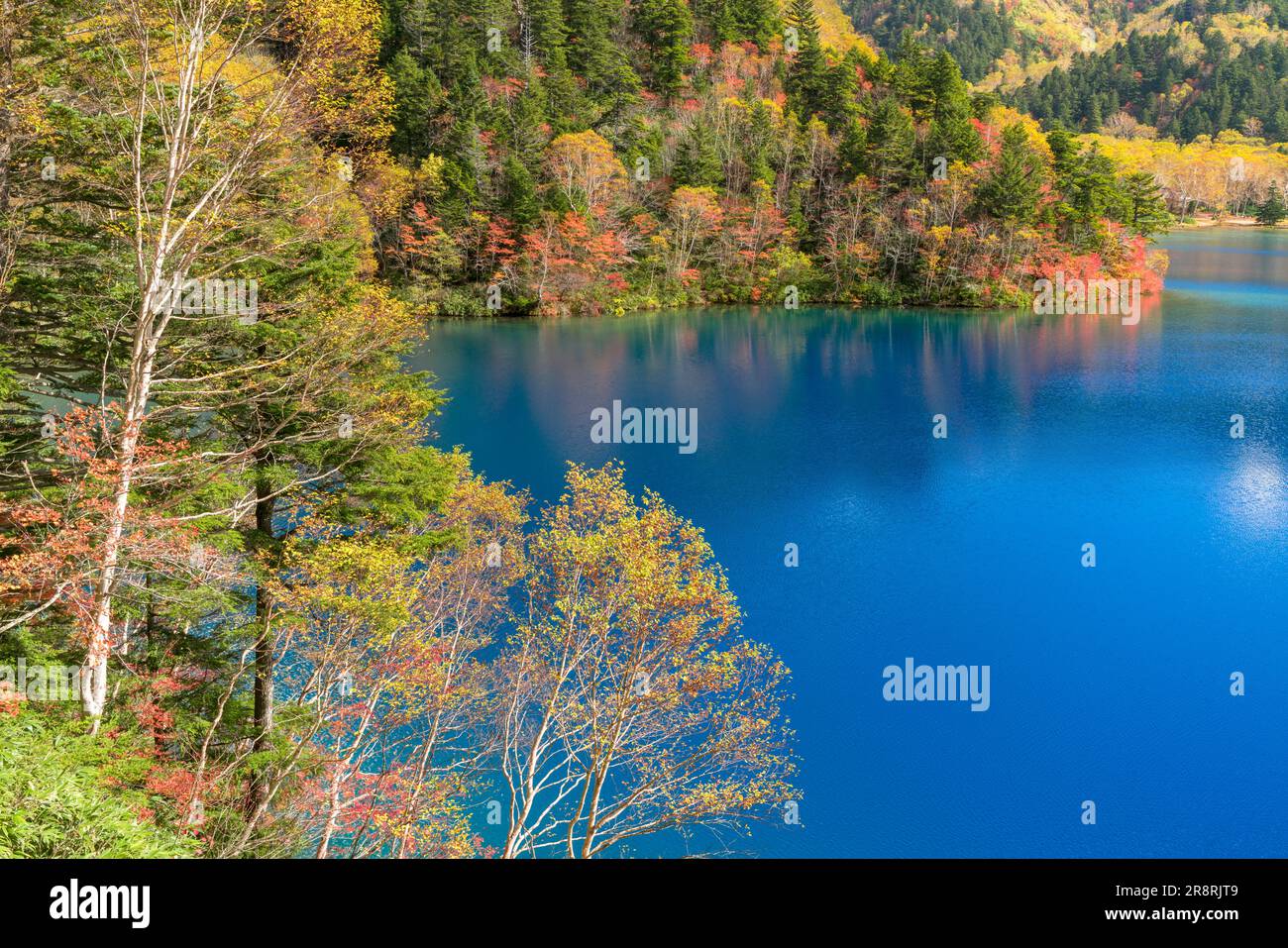 Onuma gun hi-res stock photography and images - Alamy