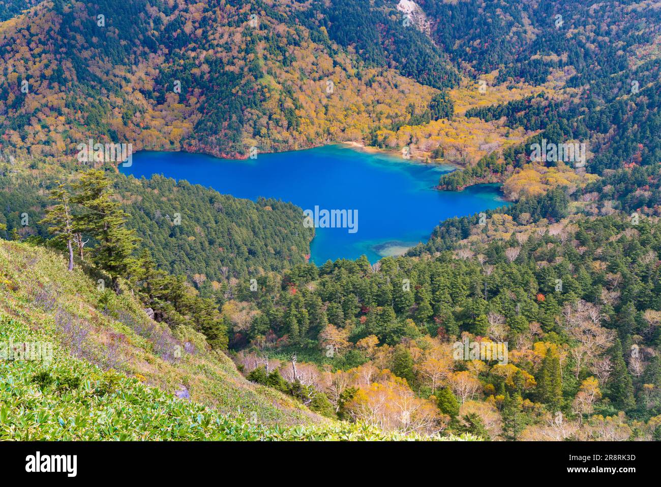 Onuma gun hi-res stock photography and images - Alamy