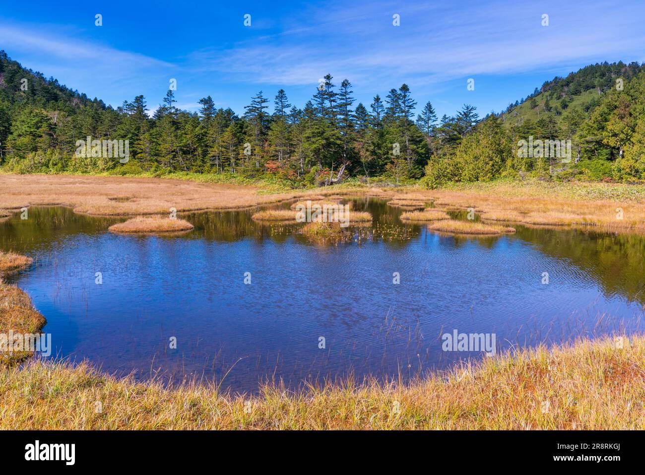 Moor ponds hi-res stock photography and images - Alamy
