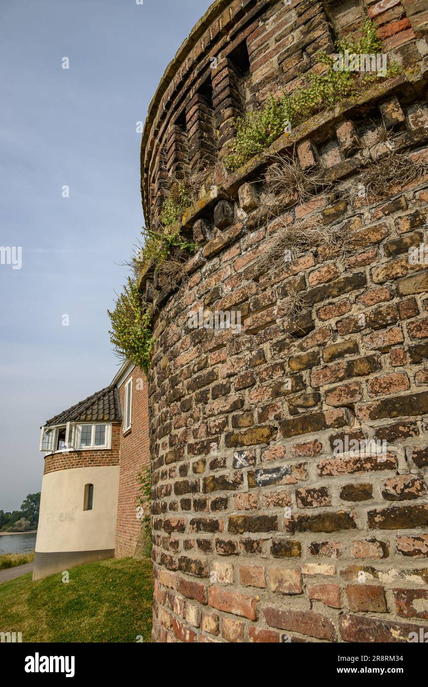 Rhine bridge rees hi-res stock photography and images - Alamy