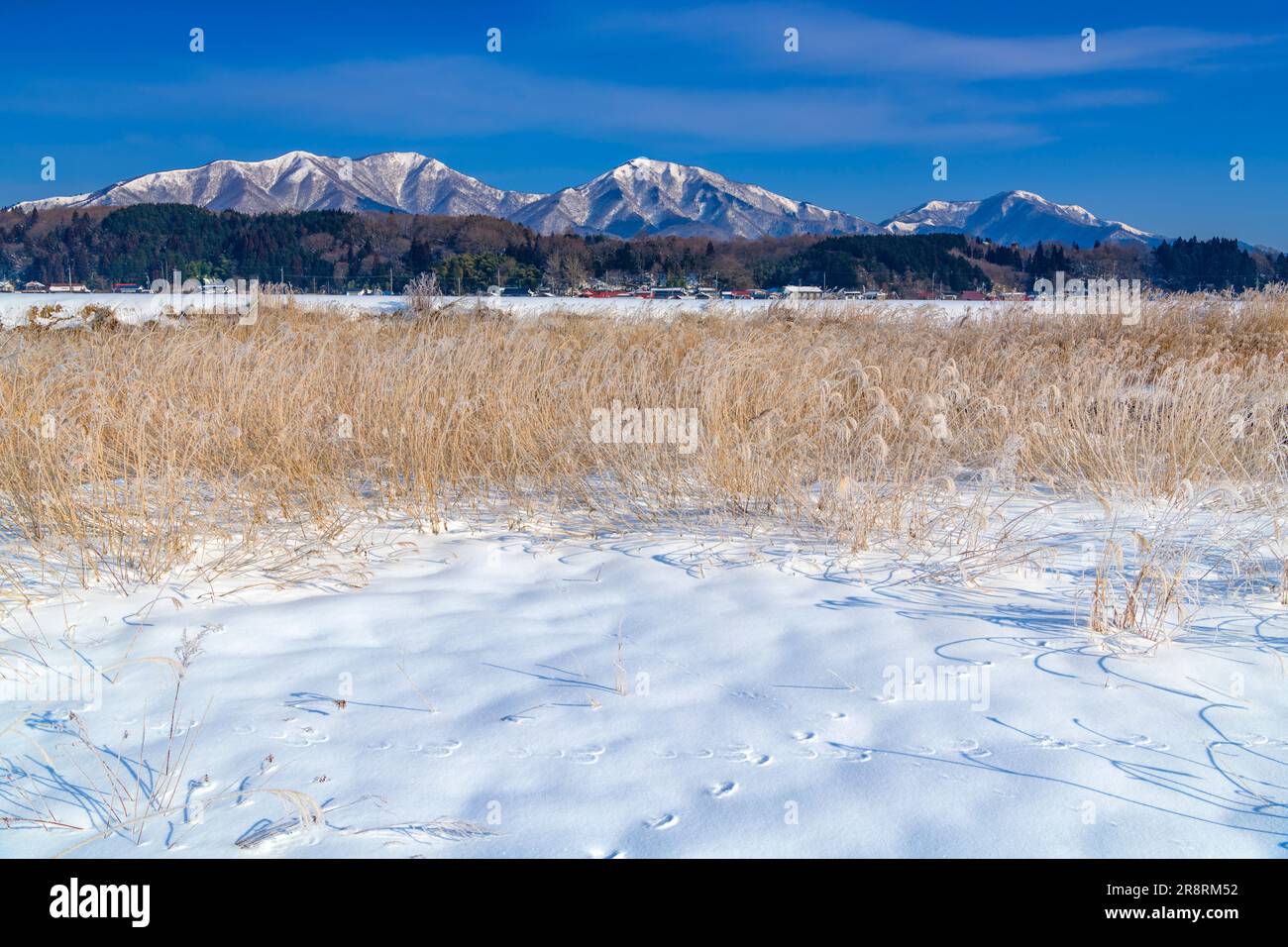 Asahikawa prefecture hi-res stock photography and images - Alamy