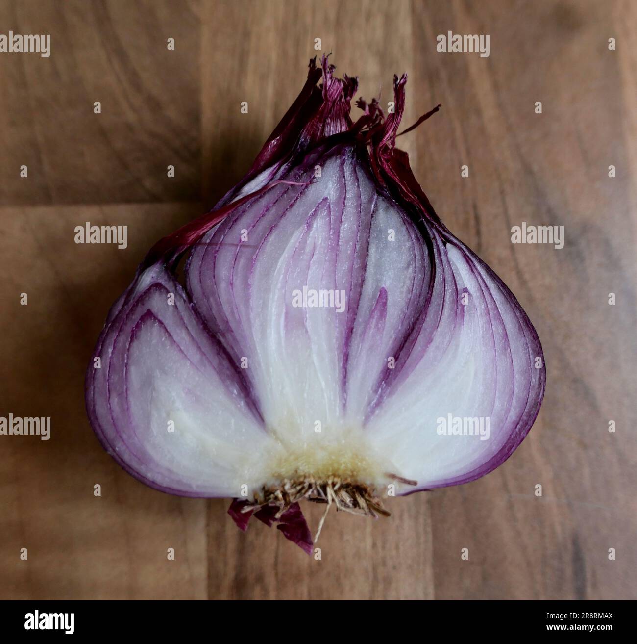 Section through unusual shaped red onion on textured wooden background ...