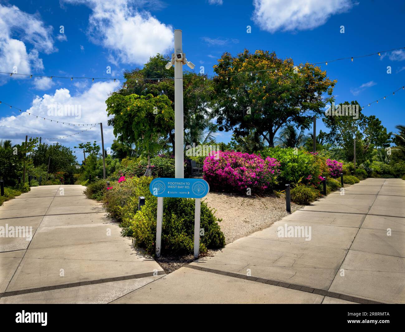 View of two paths by a lush vegetation leading to Camana Bay, a ...