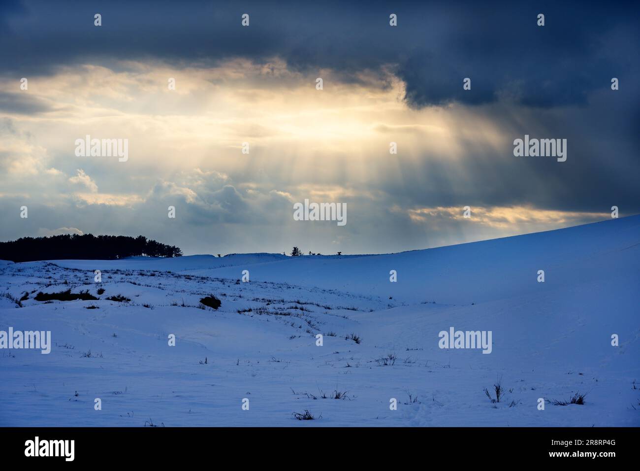 Tottori sand dunes under snow Stock Photo - Alamy