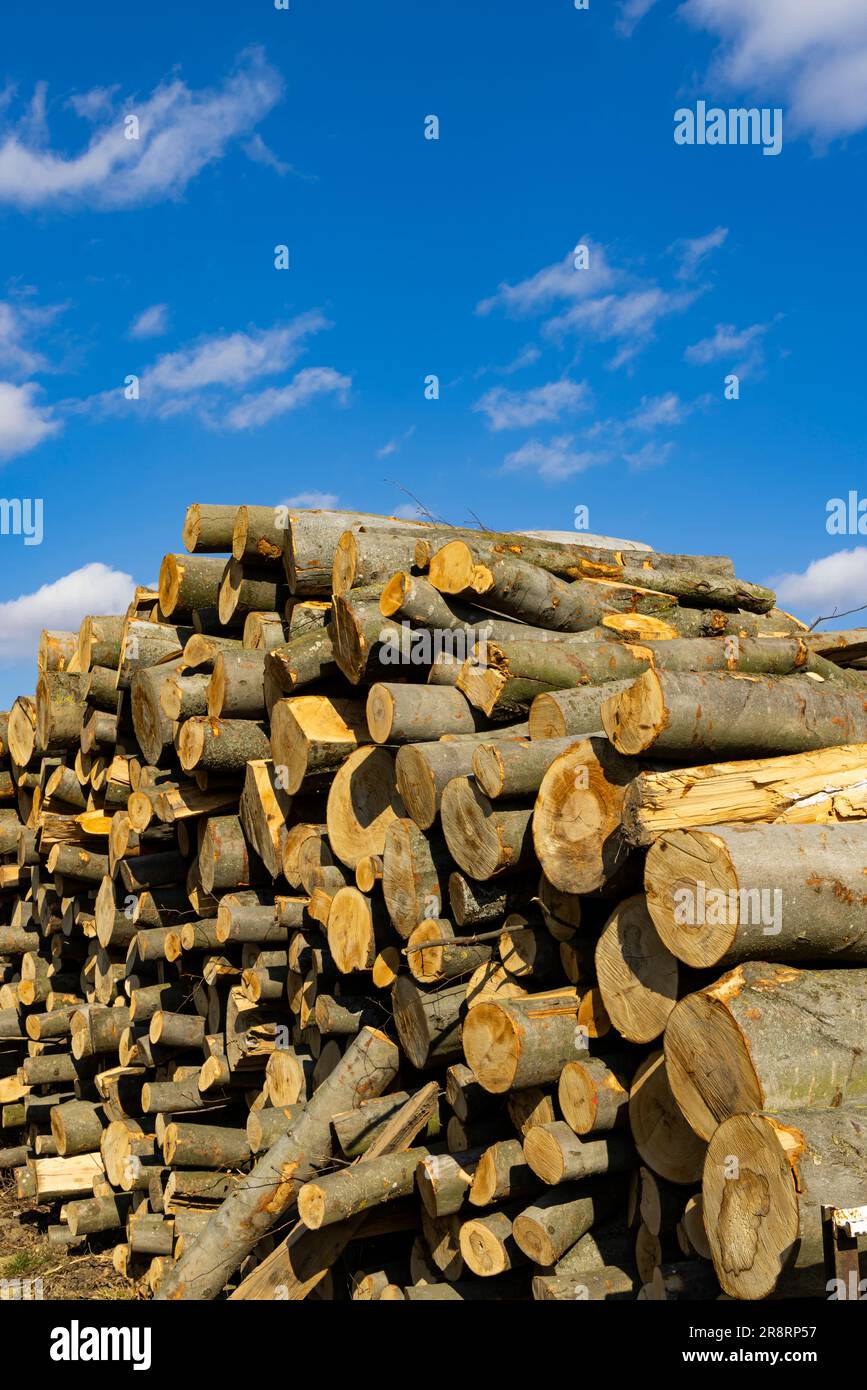 wooden logs on the open air Stock Photo - Alamy