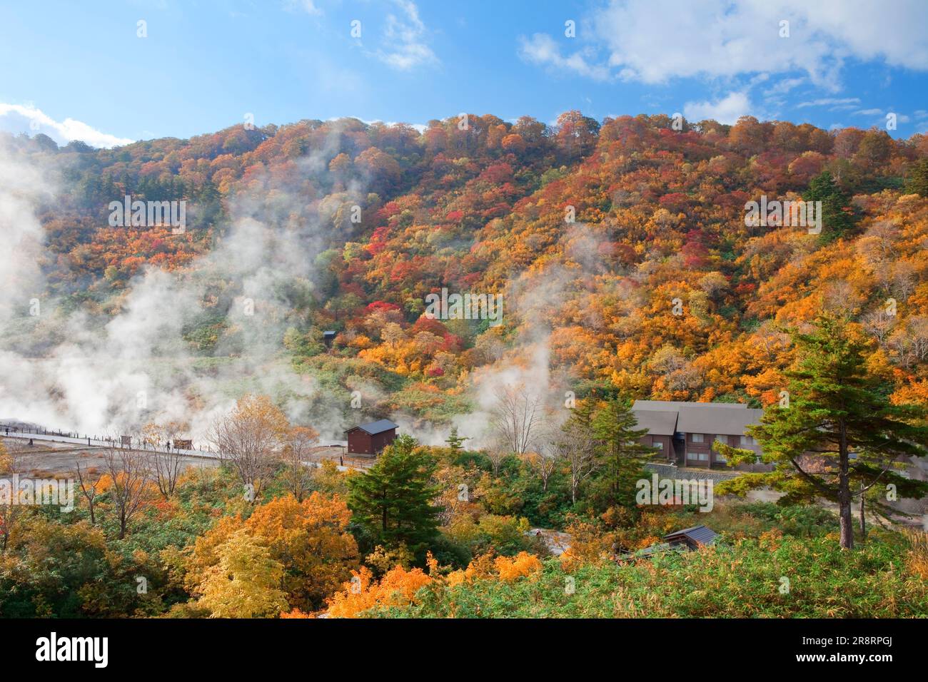 Tamagawa Onsen of Autumn Leaves Stock Photo - Alamy
