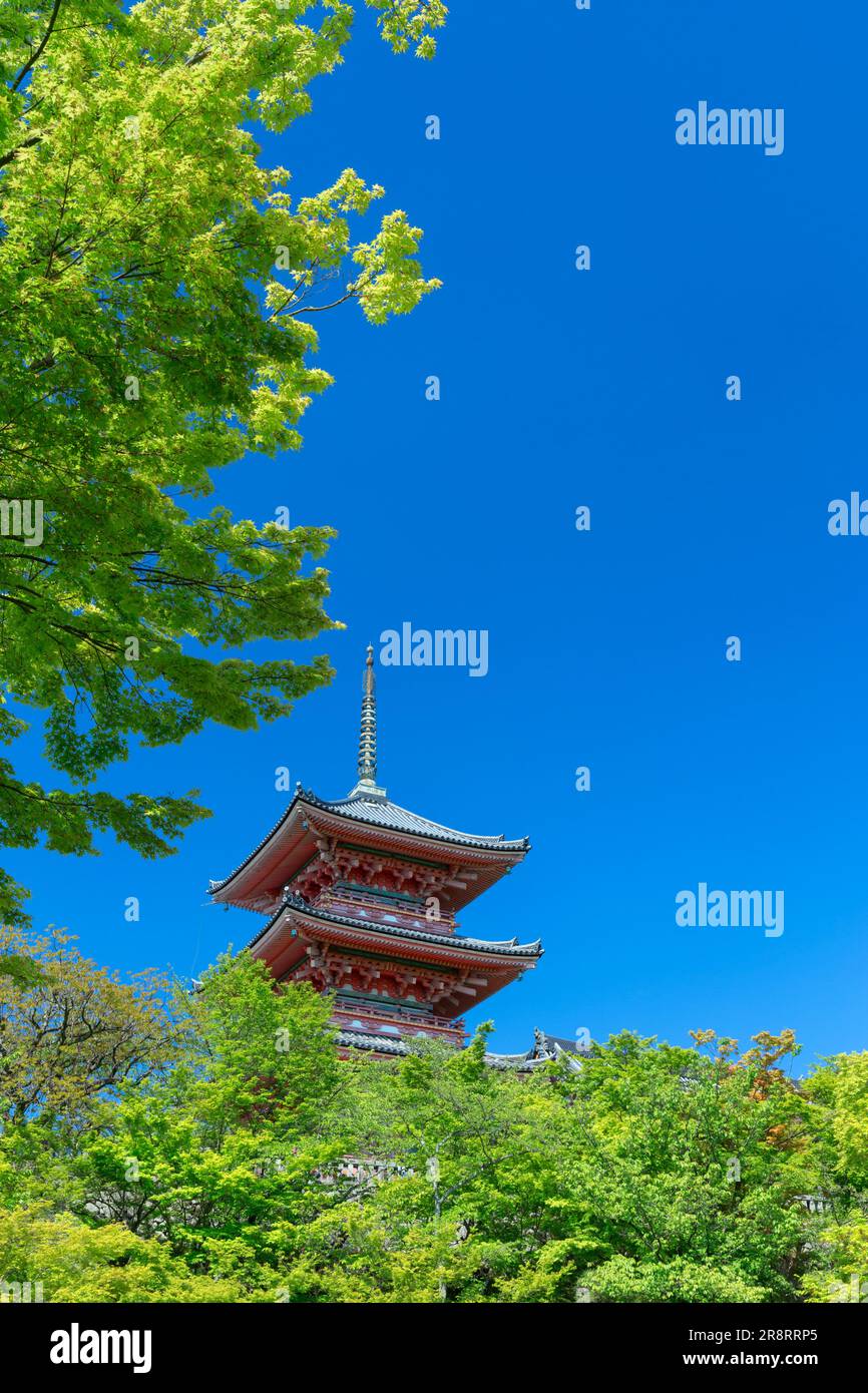 The three-story pagoda of Kiyomizu-dera in fresh green Stock Photo - Alamy