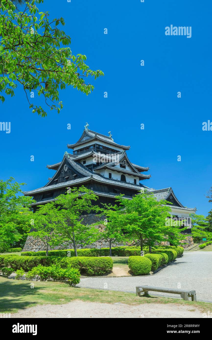 Matsue Castle in fresh green Stock Photo - Alamy
