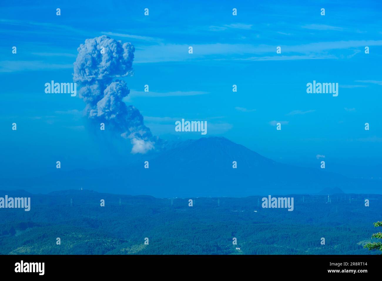 Kirishima taguchi hi-res stock photography and images - Alamy