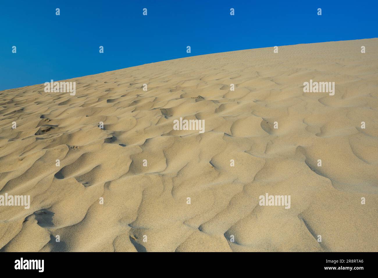 Picturesque wind ripples sand dunes and the blue sky Stock Photo - Alamy