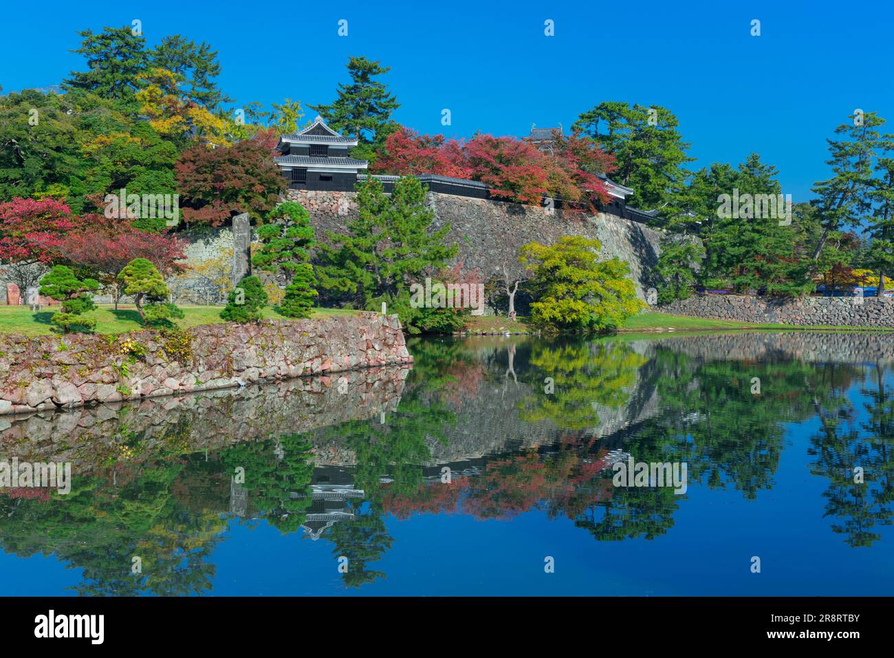 Fall foliage, Matsue Castle, and the moat Stock Photo - Alamy