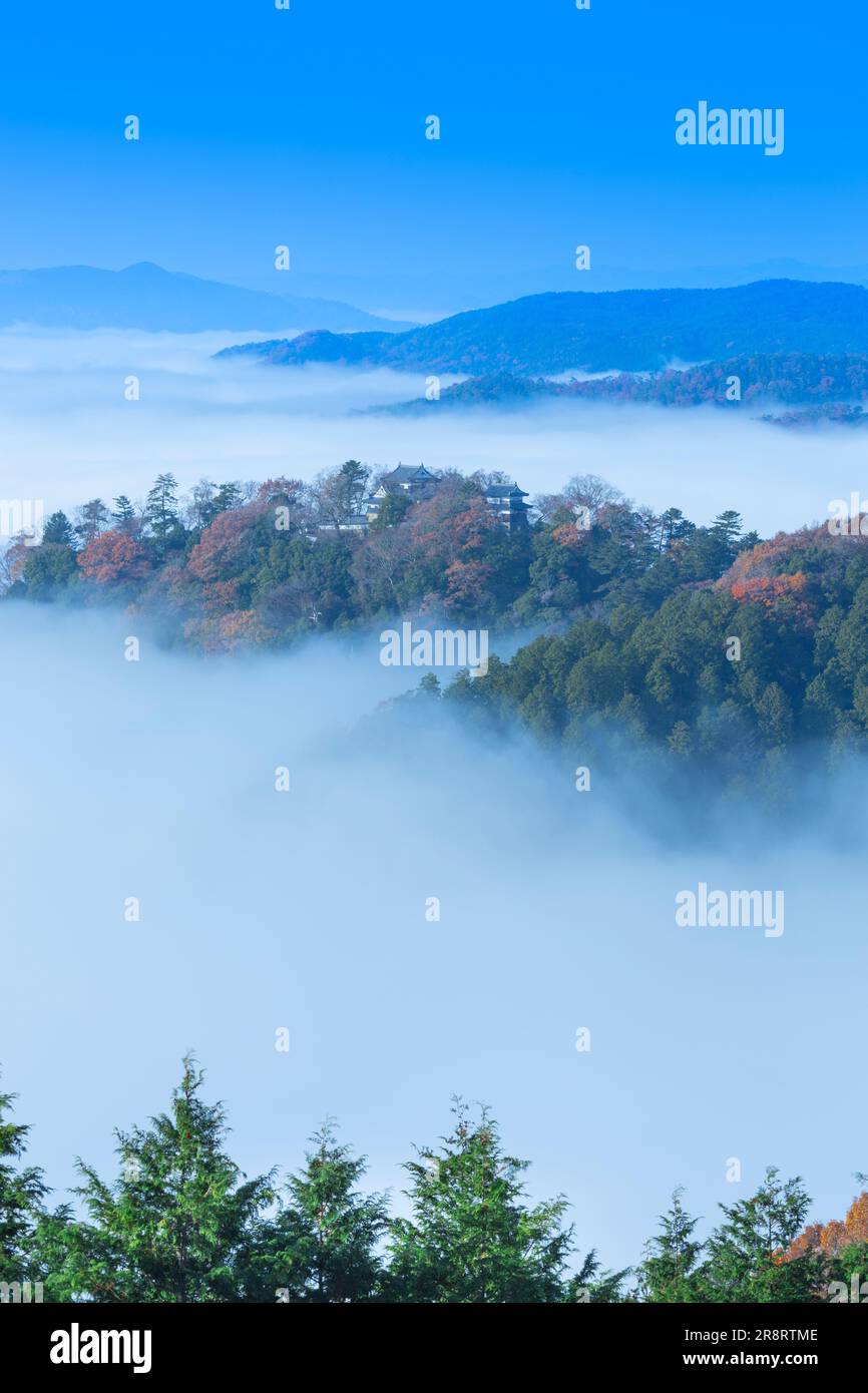 Sea of Clouds at Bicchu Matsuyama Castle in autumn Stock Photo - Alamy