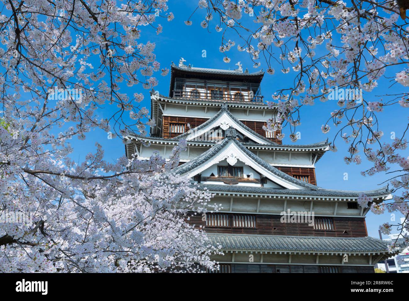 Cherry trees of Hiroshima Castle Stock Photo - Alamy