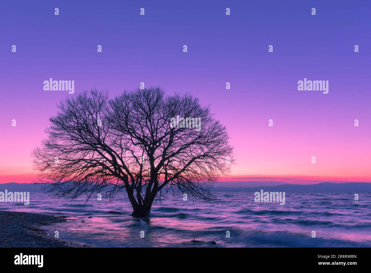 Maibara hi-res stock photography and images - Alamy