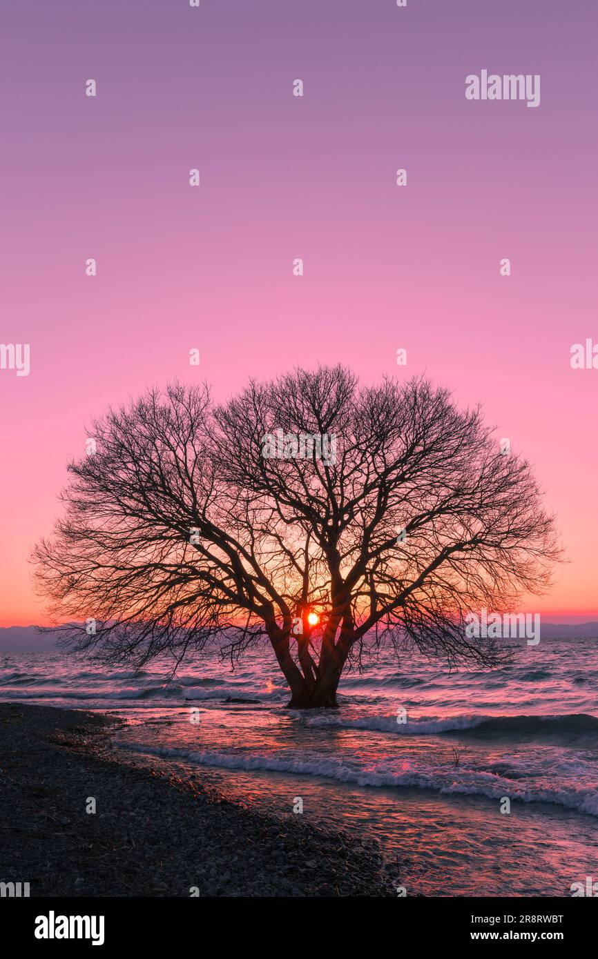 Maibara hi-res stock photography and images - Alamy