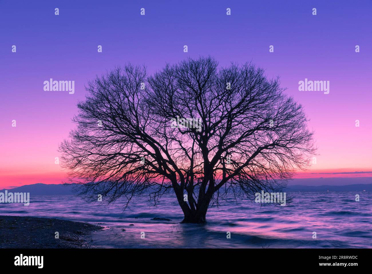 Maibara hi-res stock photography and images - Alamy