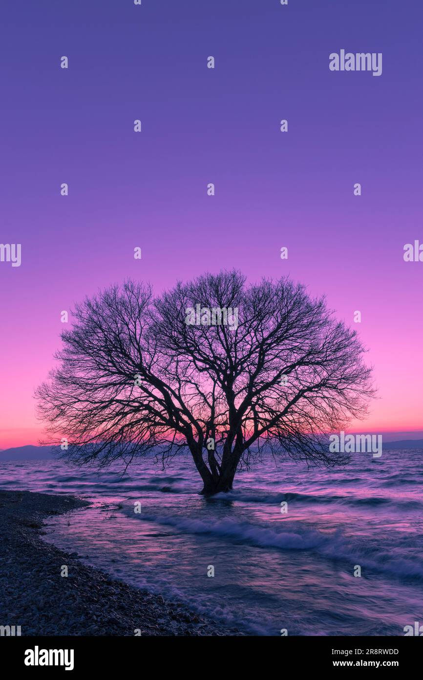 Maibara hi-res stock photography and images - Alamy