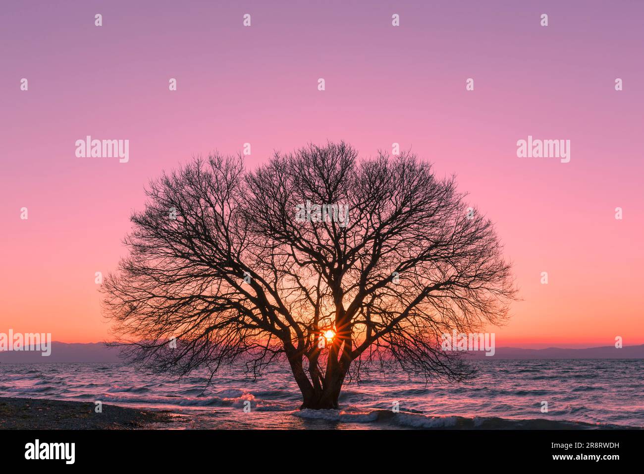 Maibara hi-res stock photography and images - Alamy