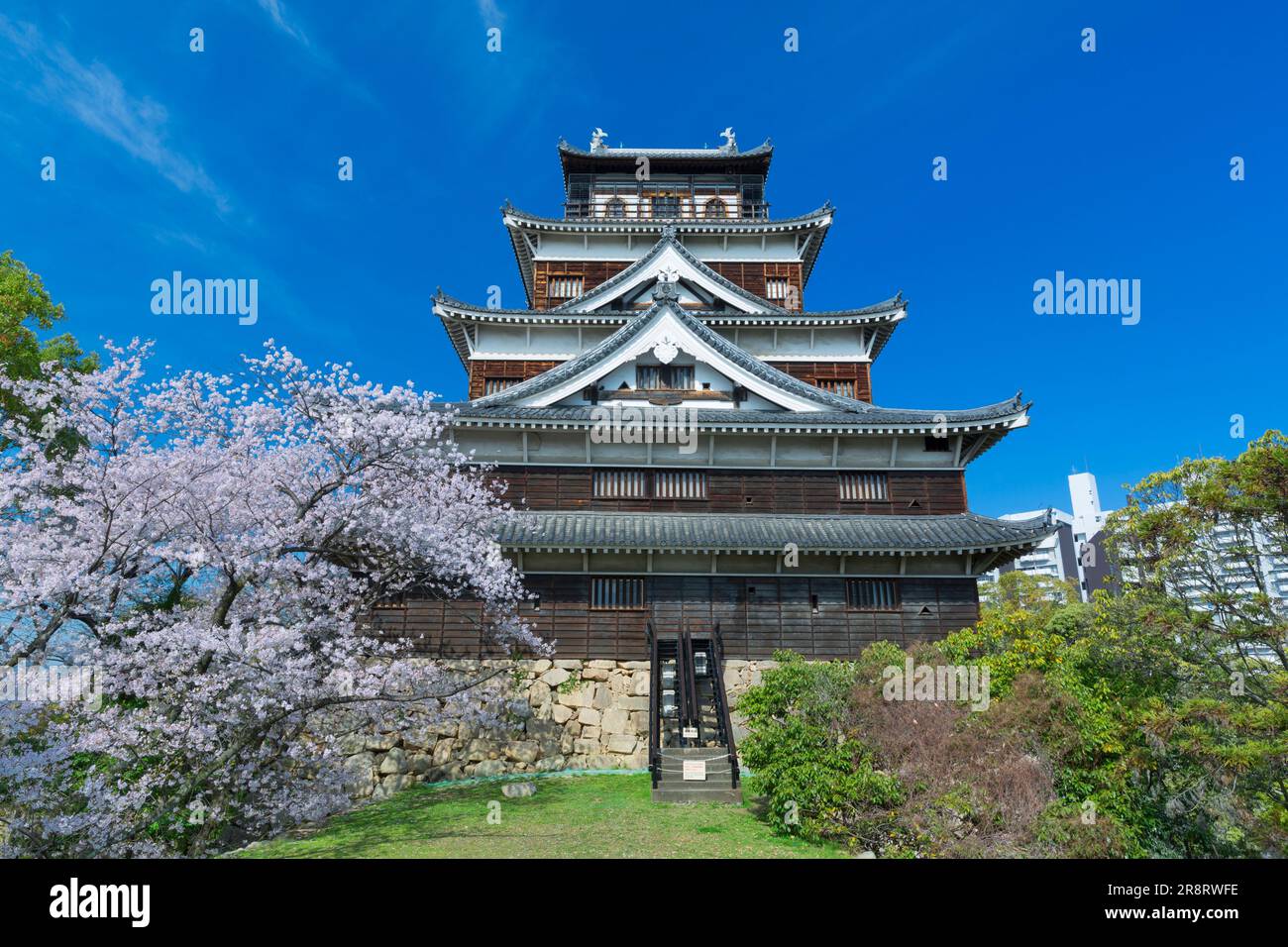 Cherry trees of Hiroshima Castle Stock Photo - Alamy