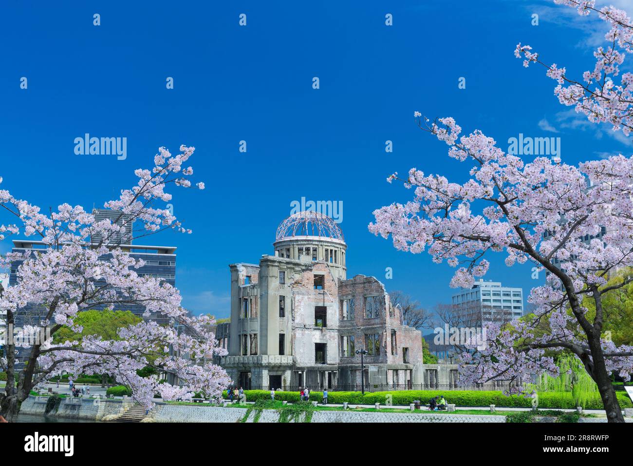 Sakura tree and the Atomic Bomb Dome Stock Photo - Alamy