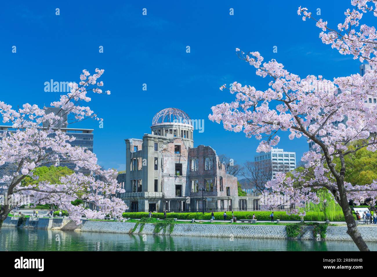 Sakura tree and the Atomic Bomb Dome Stock Photo - Alamy