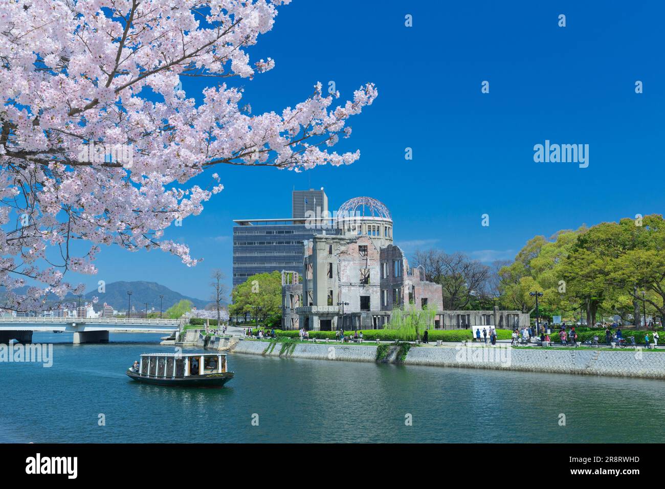 Sakura tree and the Atomic Bomb Dome Stock Photo - Alamy