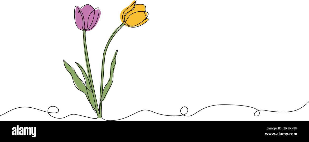 Tulip line art hi-res stock photography and images - Alamy