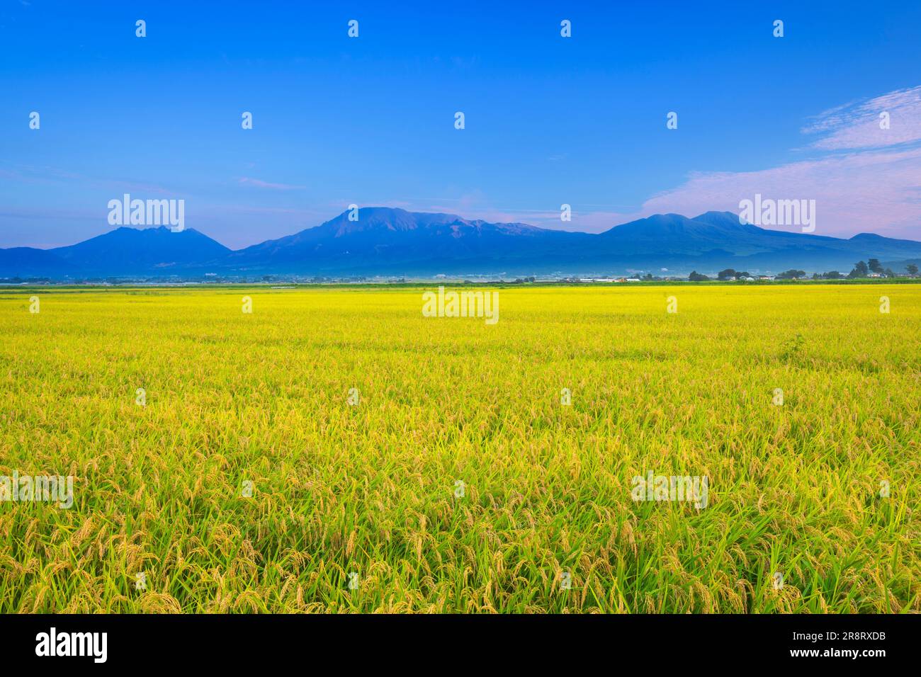 9th asos hi-res stock photography and images - Alamy