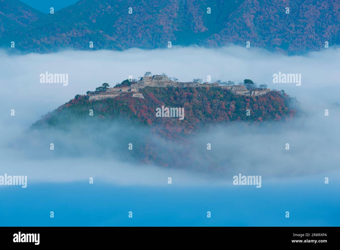 Sea of clouds at Takeda Castle in autumn Stock Photo - Alamy