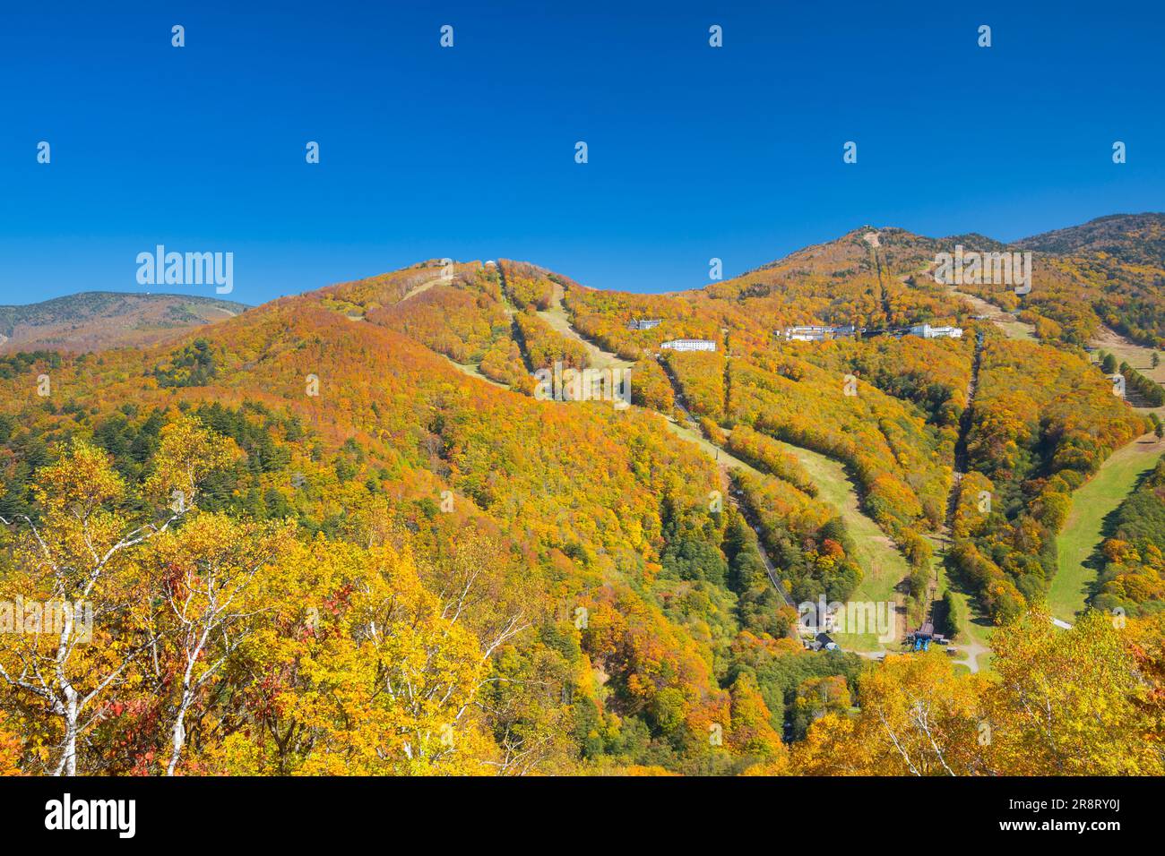 Ski area in autumn hi-res stock photography and images - Alamy