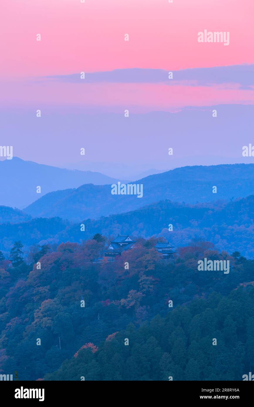 Evening view of Bicchu Matsuyama Castle Stock Photo - Alamy