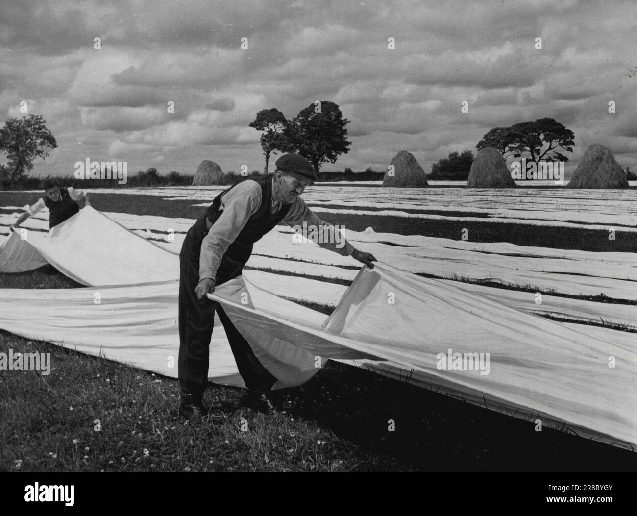 Brilliant whiteness hi-res stock photography and images - Alamy