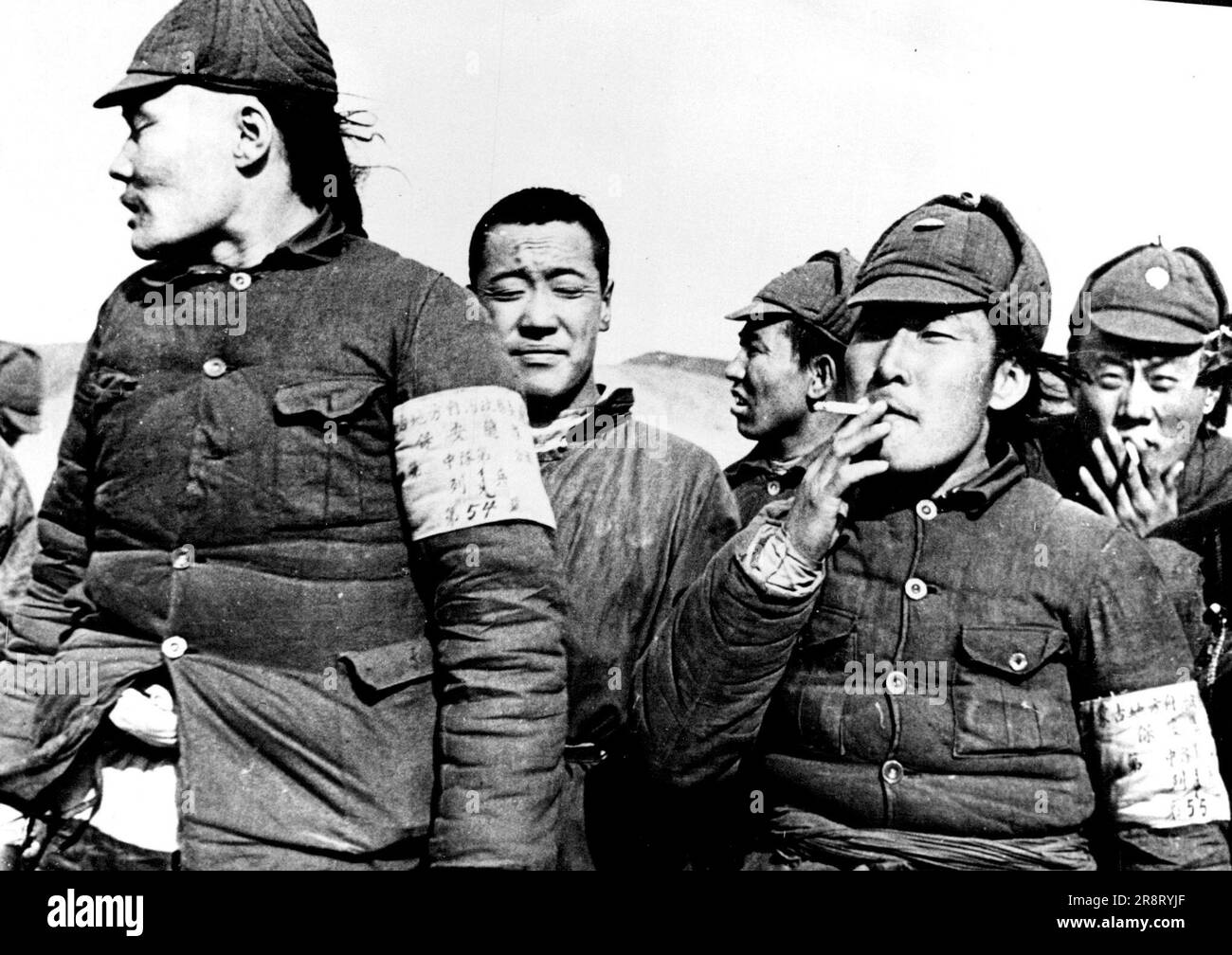 Pailongmao hi-res stock photography and images - Alamy