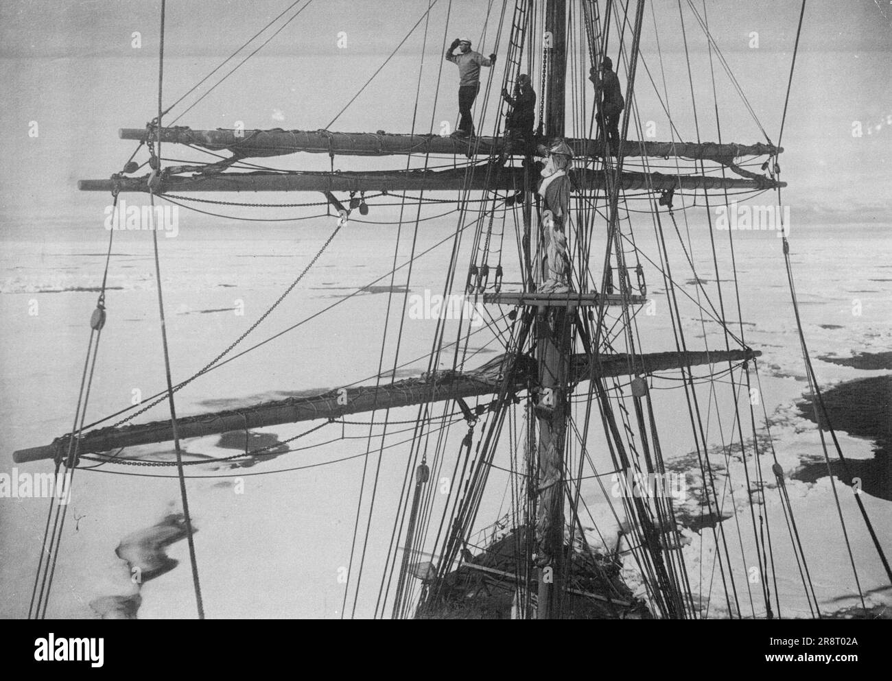 Prof. Griffith Taylor. June 01, 1953 Stock Photo - Alamy