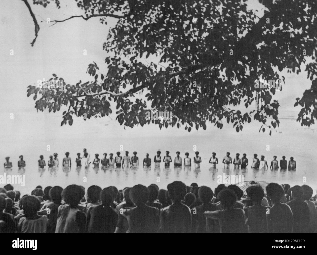 Aboriginal tribesmen australia hi-res stock photography and images - Alamy