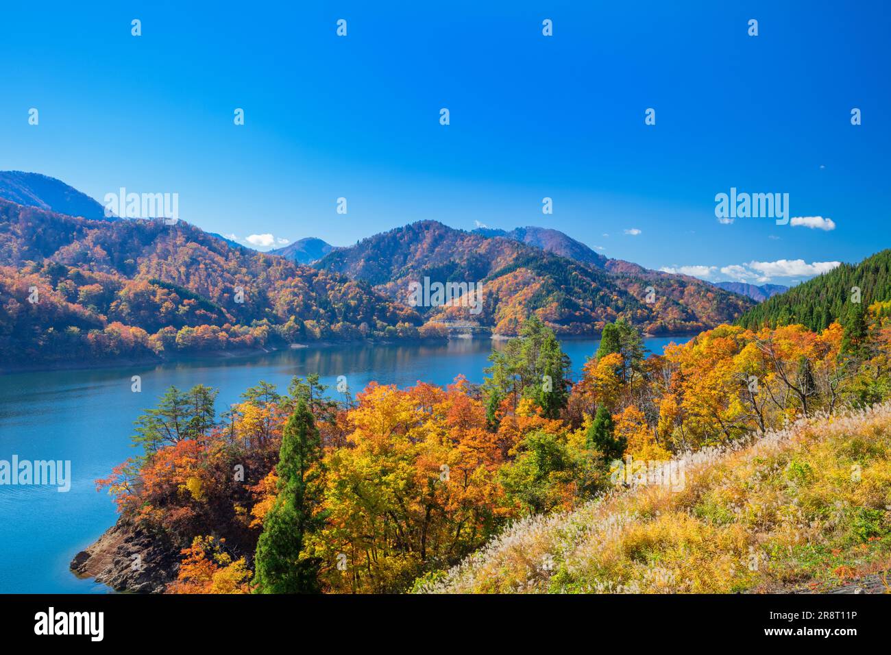 Lake Kuzuryu in Autumn Stock Photo - Alamy