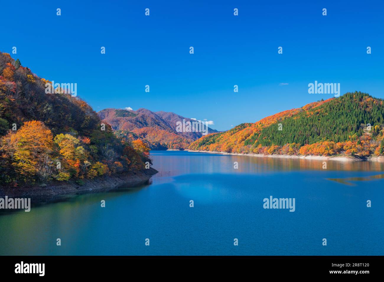 Yellow 6 lake hi-res stock photography and images - Alamy