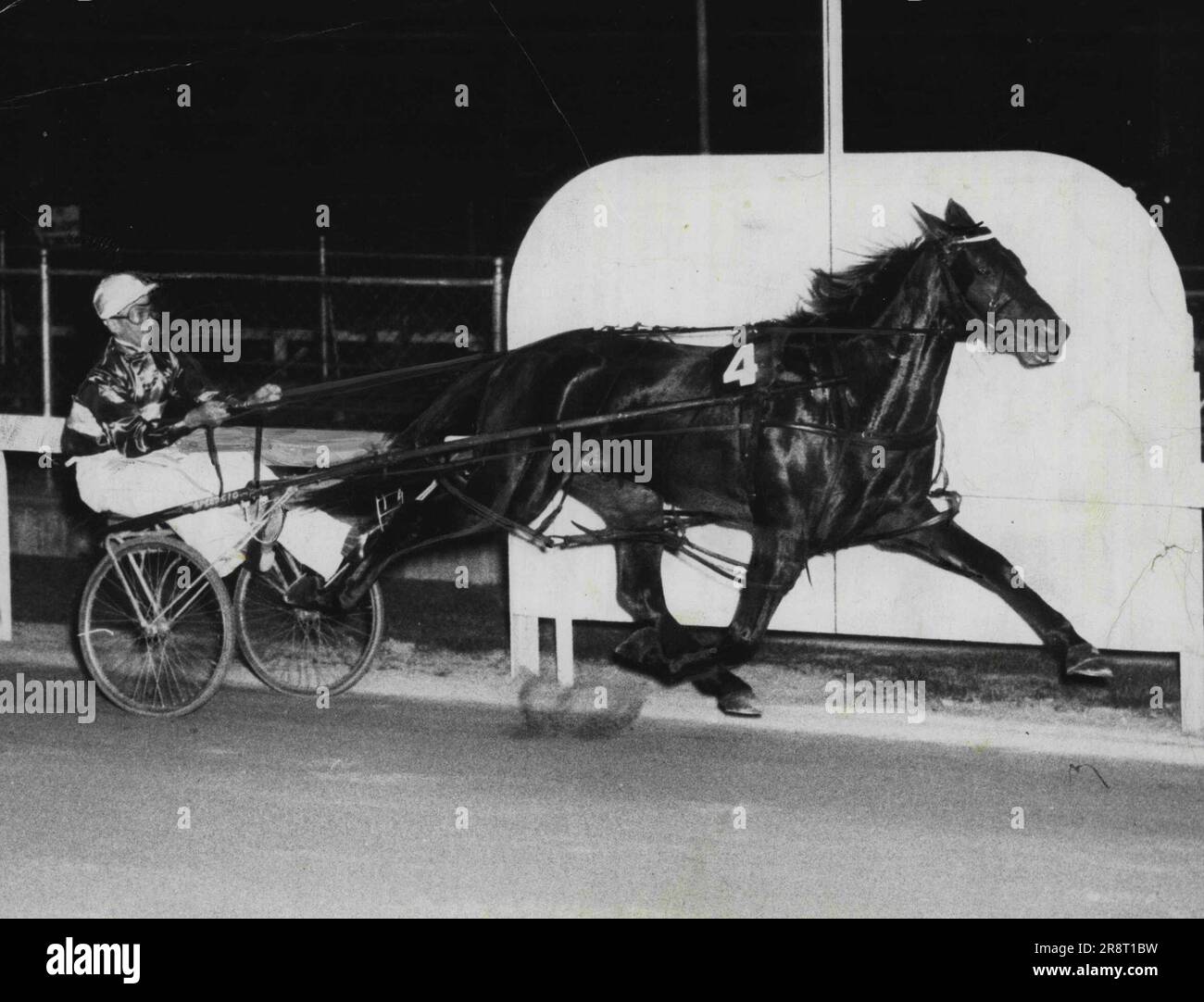 Down memory lane - Ribands. A great action picture of Ribands winning ...