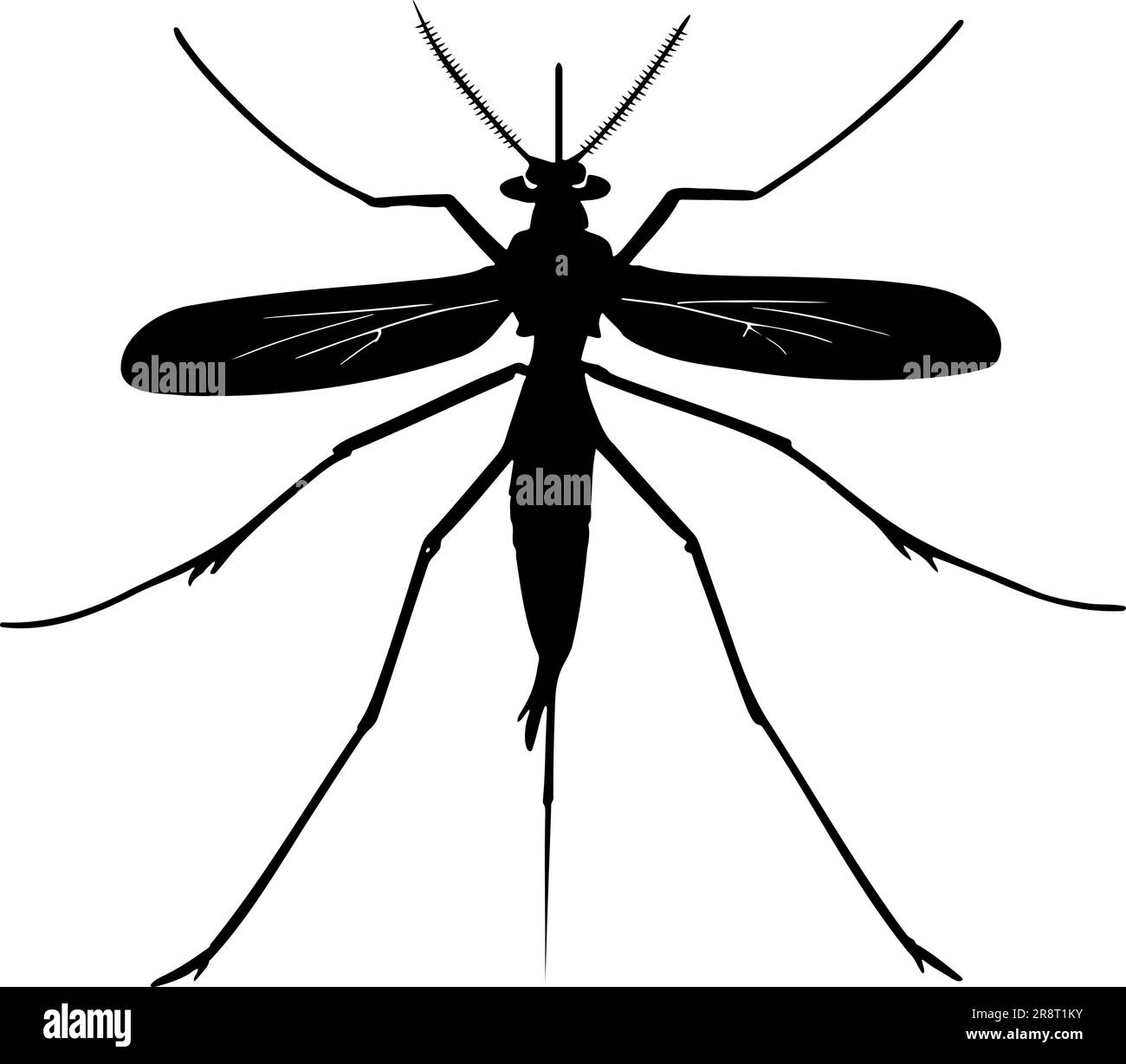 Mosquito silhouette isolated on white background. Icon Vector ...