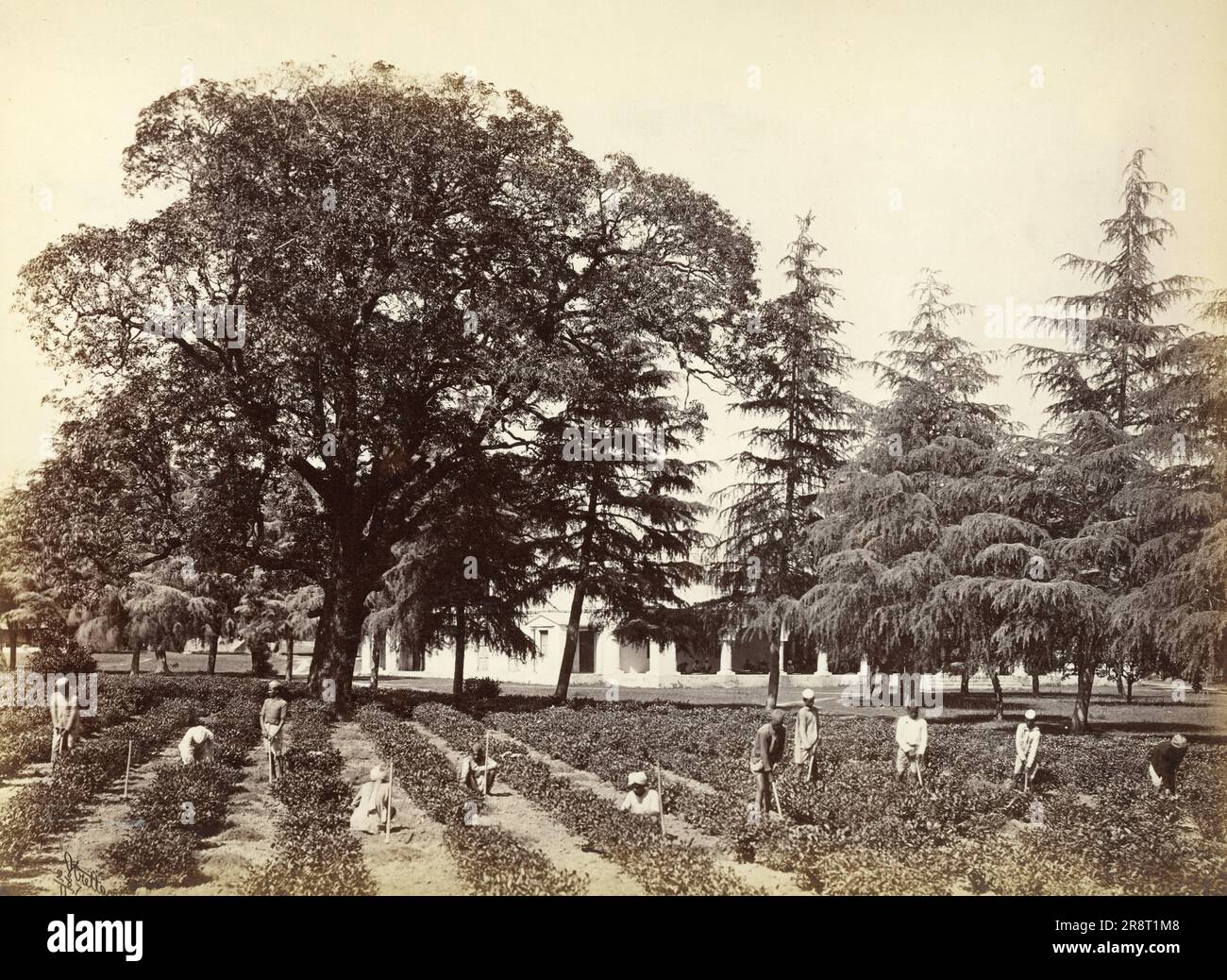 Photographs in Calcutta, India by Captain William George Stretton from ...